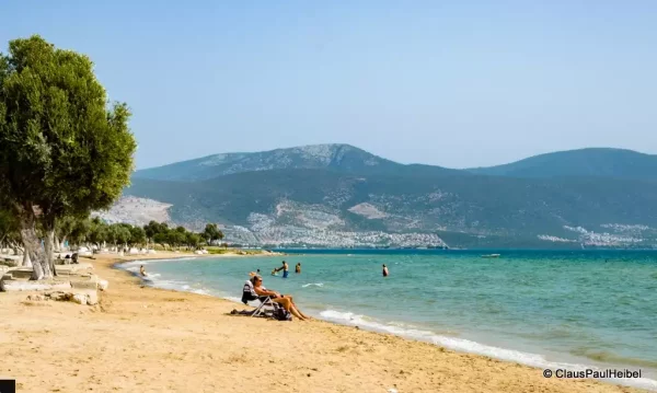 Akbuk - Didim Guide
